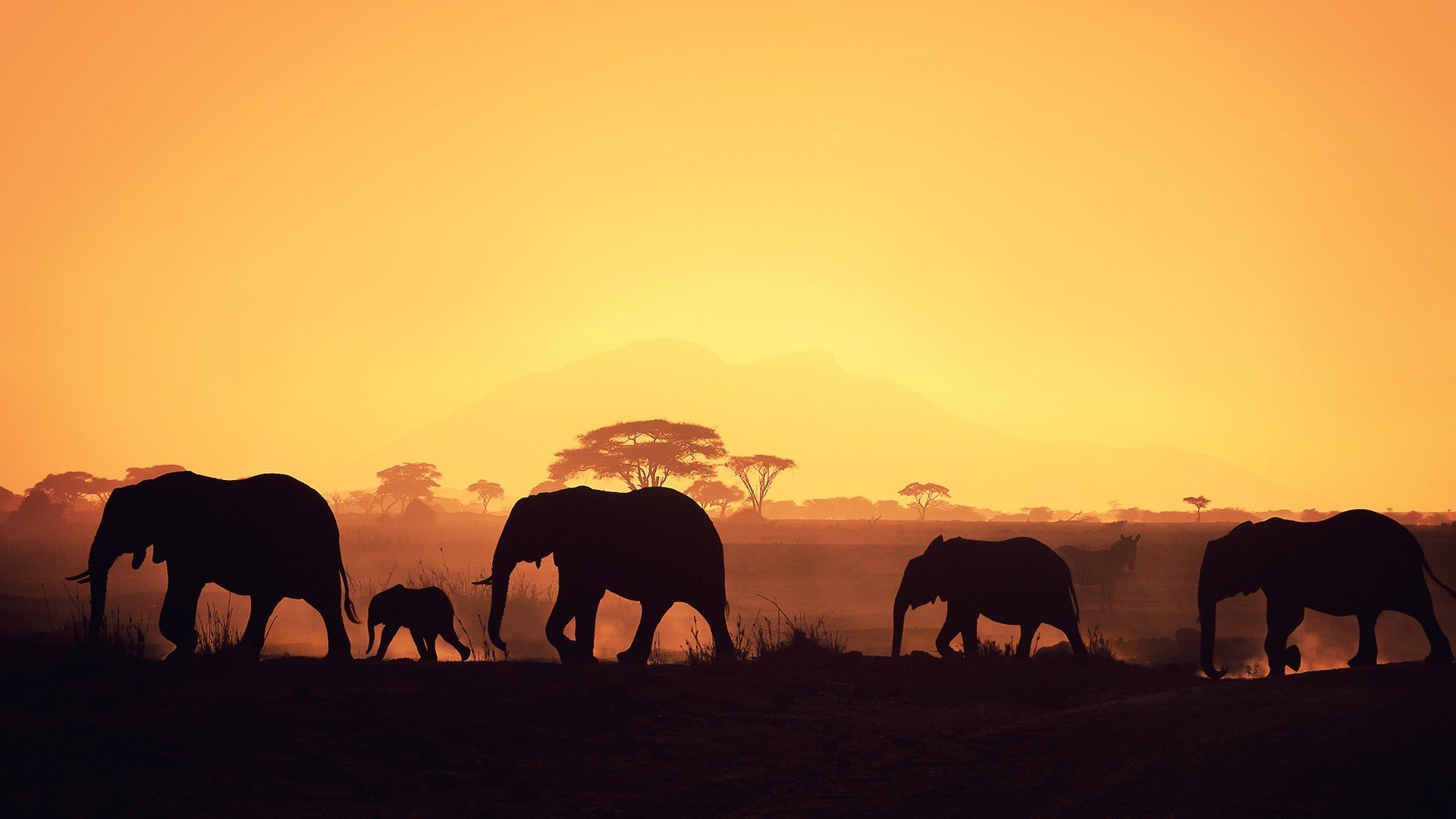 Uganda Safari Information and Guide: Your Ultimate Travel Companion ...