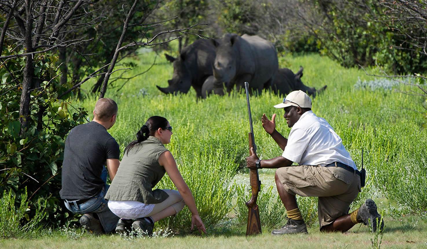 Ziwa Rhino Trekking Safari: Witness Majestic Rhinos Up Close - Lifetime ...