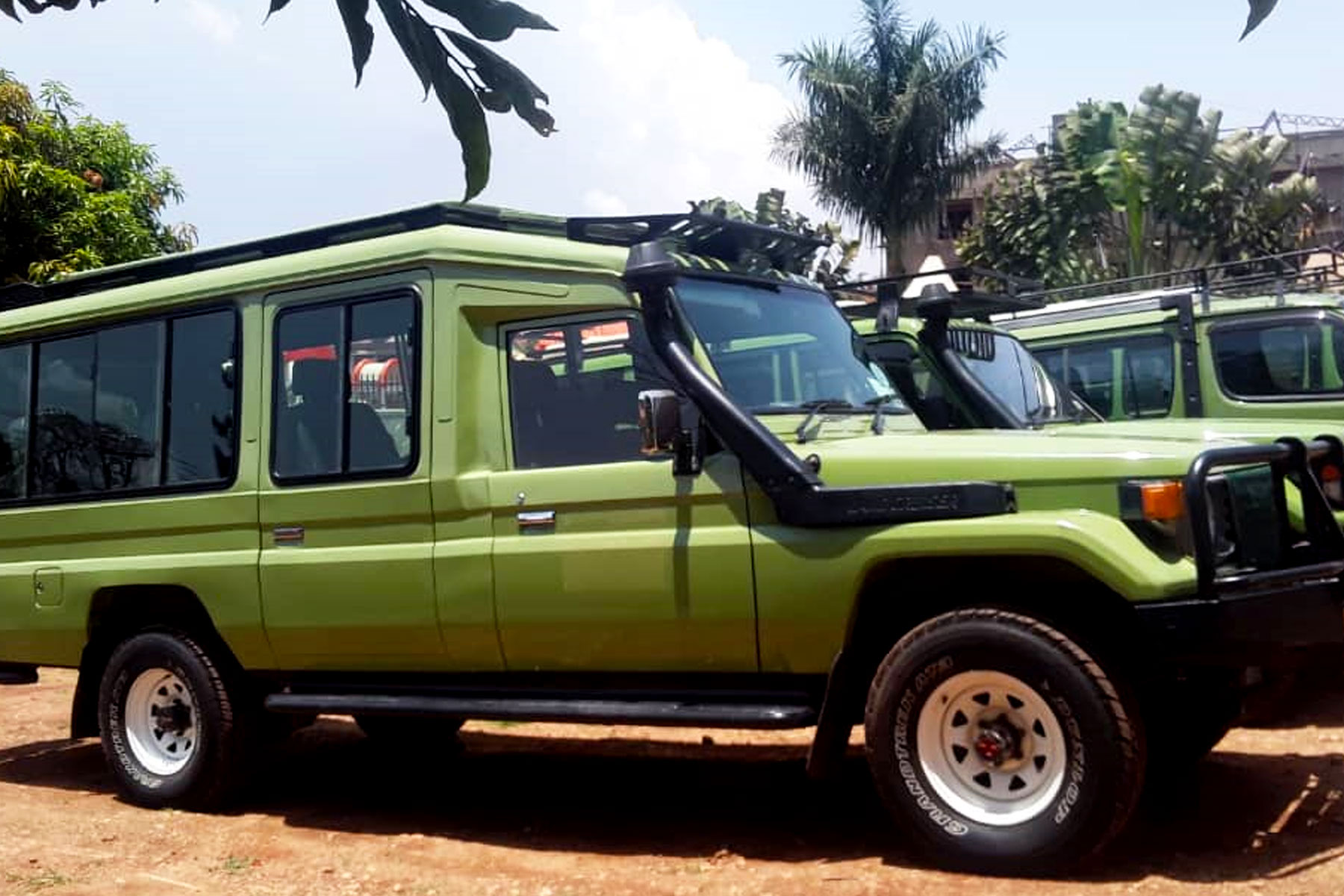 Uganda Gorillas, Chimpanzees, Wildlife Safari & Car Rentals